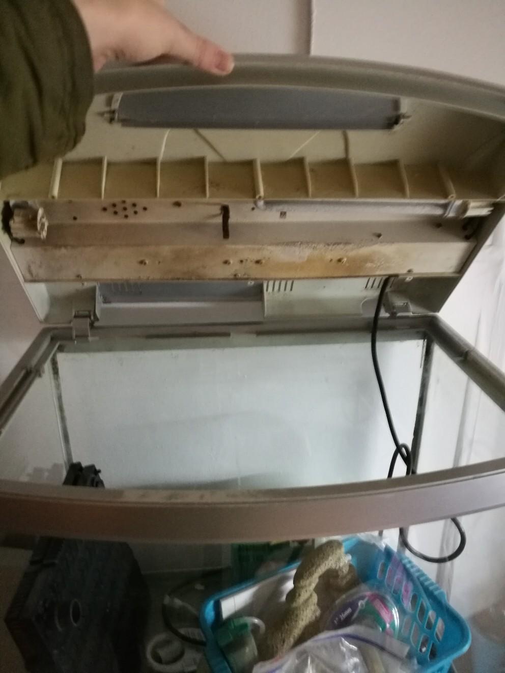 fish tank and stand in S36 Sheffield für 75,99 £ zum Verkauf | Shpock DE