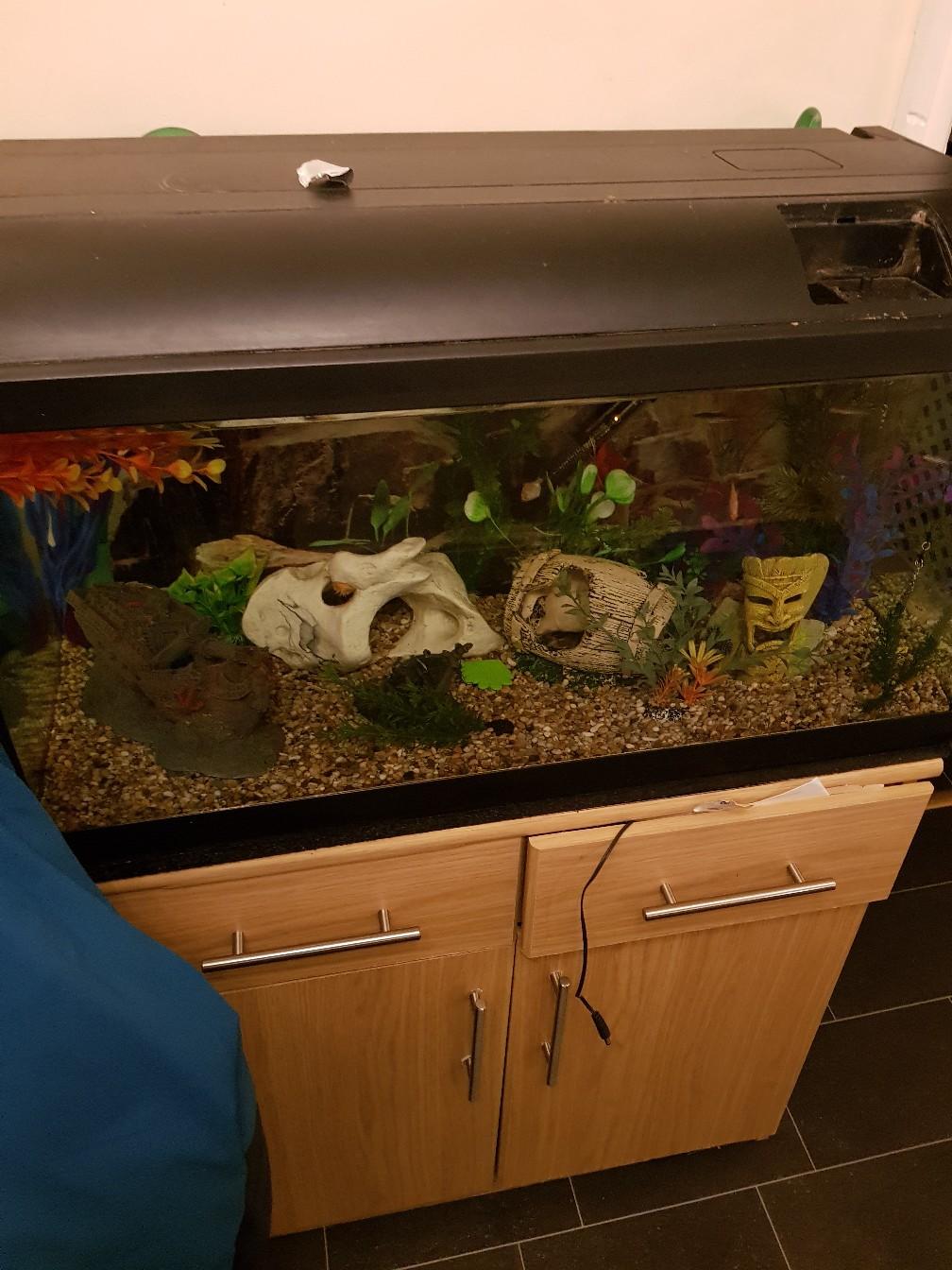 100 litre fish tank in L33 Knowsley für 130,00 £ zum Verkauf | Shpock DE