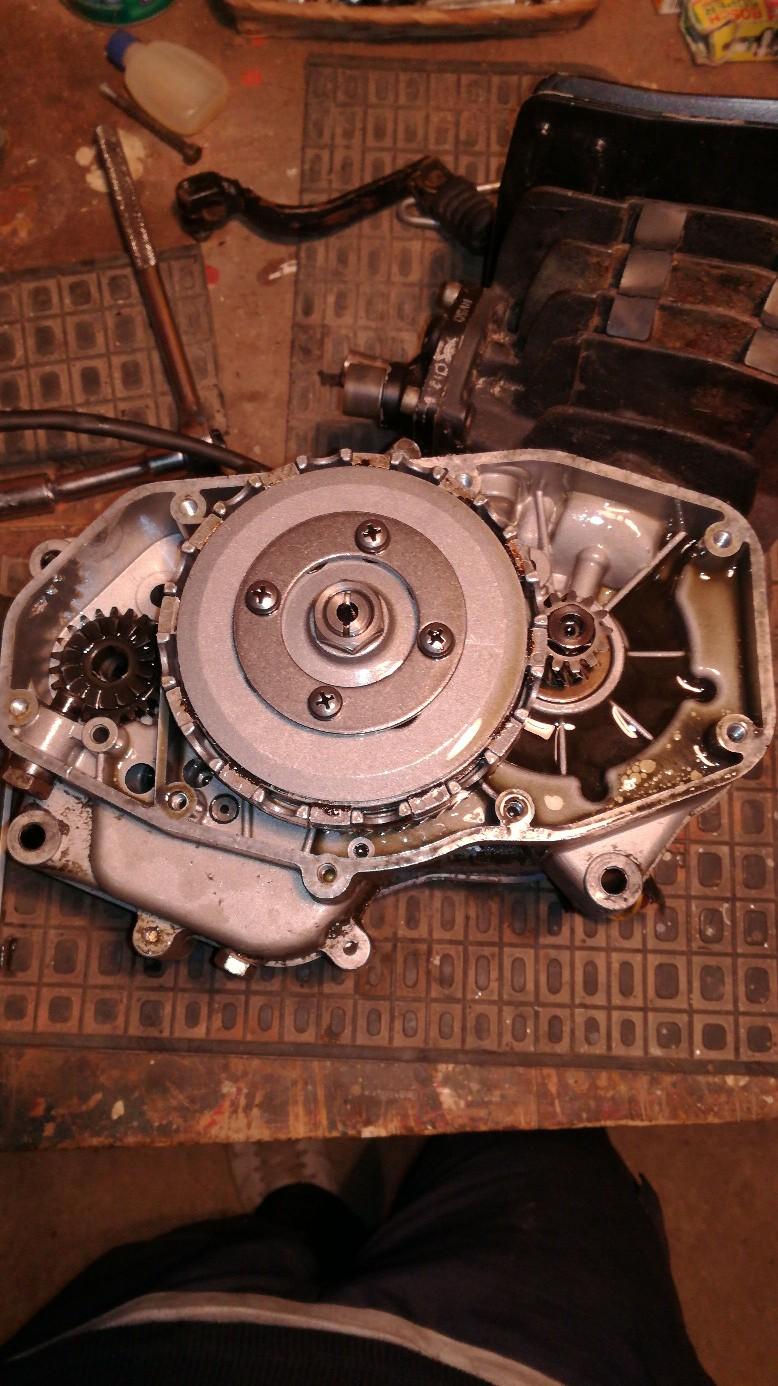 Motron GTO 50cc in 27010 Marzano für 60,00 € zum Verkauf | Shpock DE