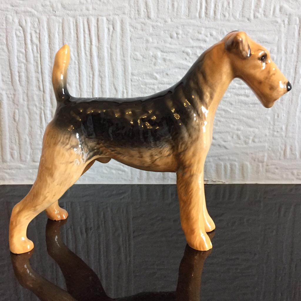 BESWICK Large Airedale Lakeland Terrier Dog in WF15 Kirklees for £35.00 ...