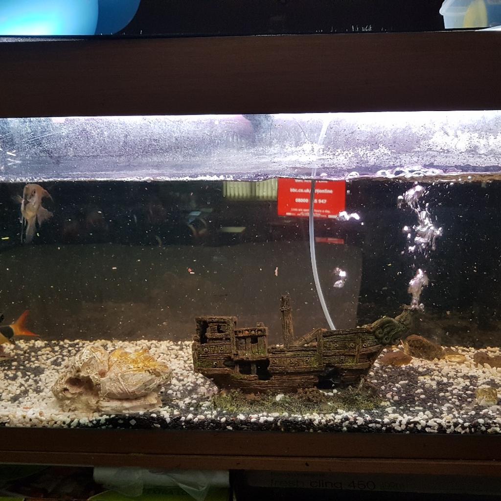 Jewel fish tank in LE4 Leicester für 90,00 £ zum Verkauf | Shpock DE