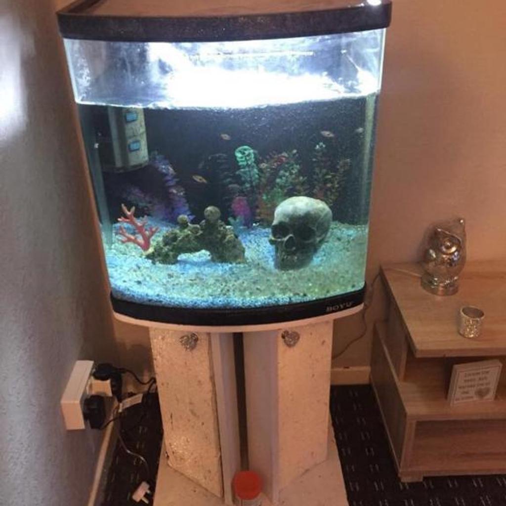 Fish tank and accessories in BD5 Bradford für 70,00 £ zum Verkauf ...