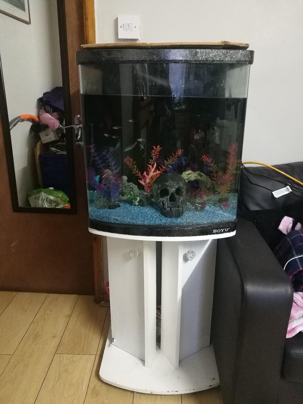Fish tank and accessories in BD5 Bradford für 70,00 £ zum Verkauf ...