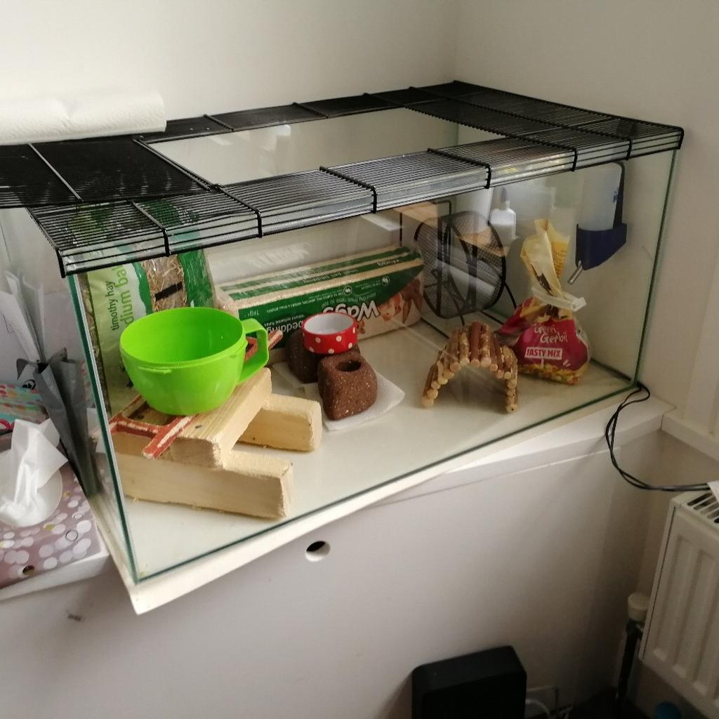 LARGE GLASS GERBIL GERBILARIUM TANK in WD23 Hertsmere for £50.00 for ...