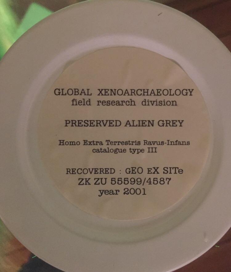 Alien Embryo XEMU XENO Lava Lamp in 11827 Stockholm for SEK 800.00 for ...