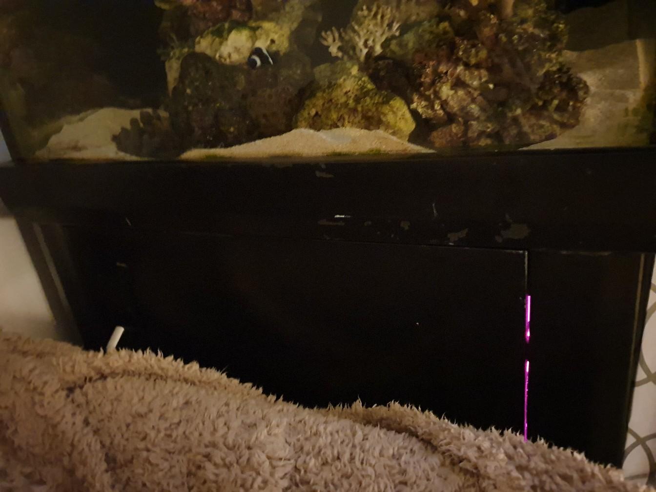 aqua one 2ft cube 275ltrs marine fish tank in S65 Rotherham for £150.00 ...