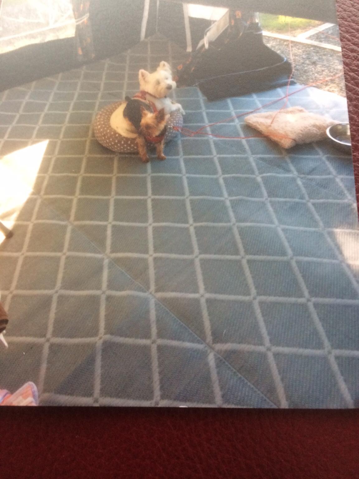 Awning Ground Sheet in PR4 Ribble für 35,00 £ zum Verkauf | Shpock DE