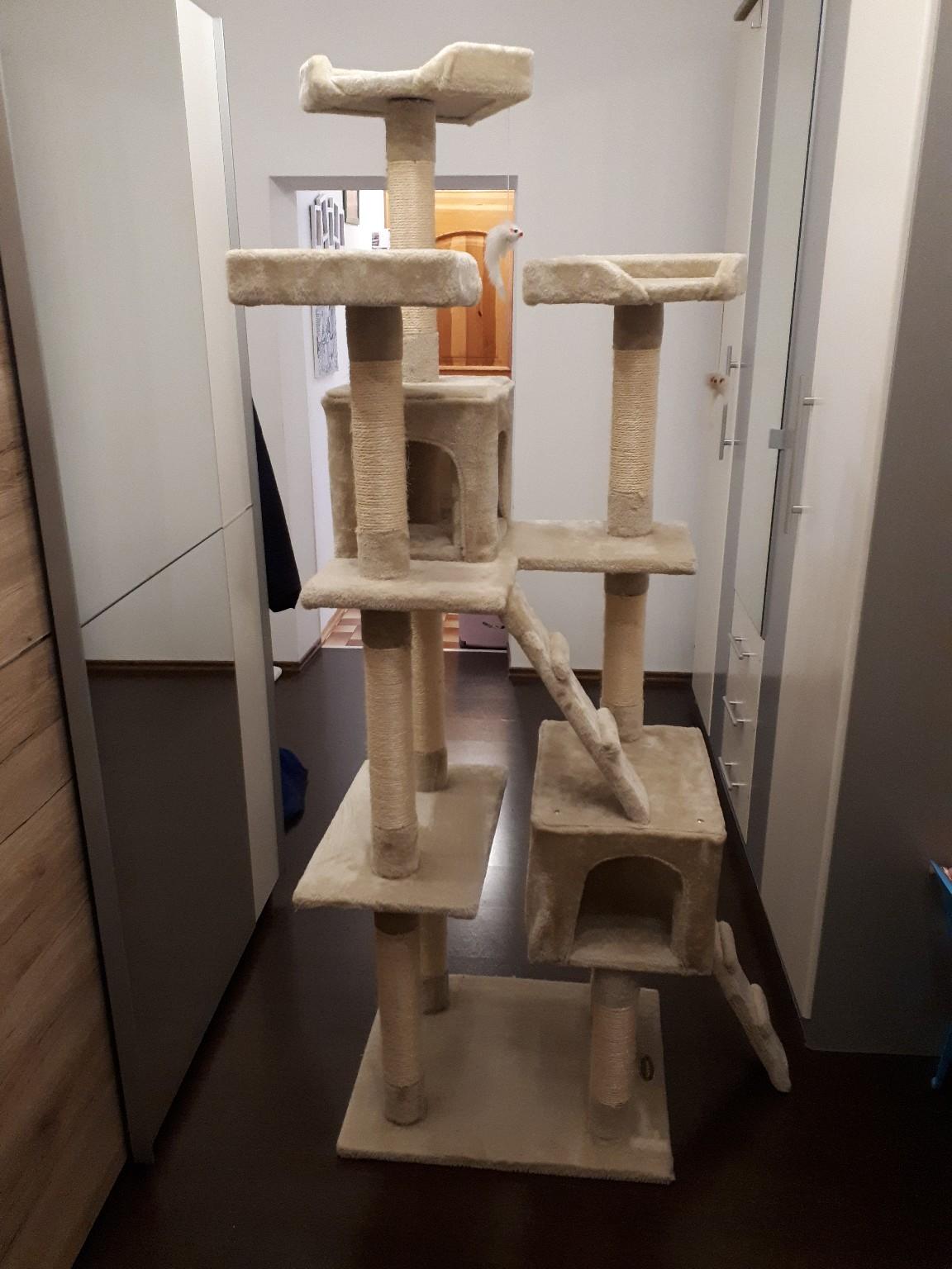 Kratzbaum in 5303 Thalgau für € 50,00 zum Verkauf | Shpock AT