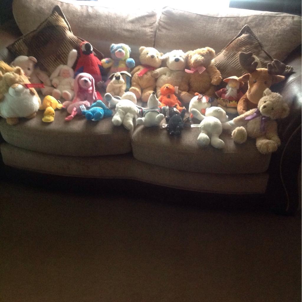 Soft toy bundle. in ME4 Chatham für £ 8,00 zum Verkauf | Shpock AT
