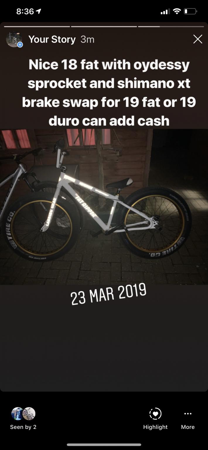 2018 fat ripper in AL3 Albans for free for sale | Shpock