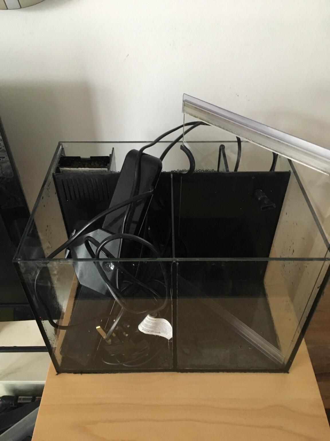 Betta duo fish tank in London für £ 40,00 zum Verkauf | Shpock AT