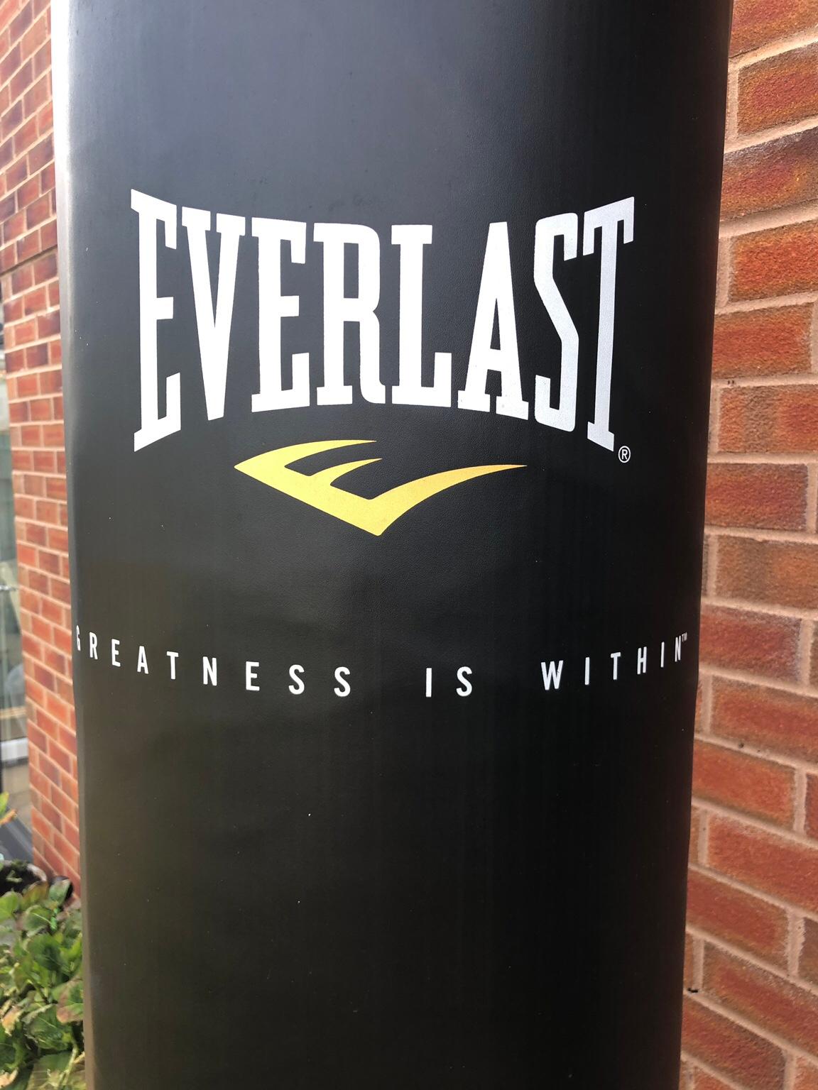 Everlast Pro Everflex free standing punch bag in B69 Sandwell für £ 80 ...
