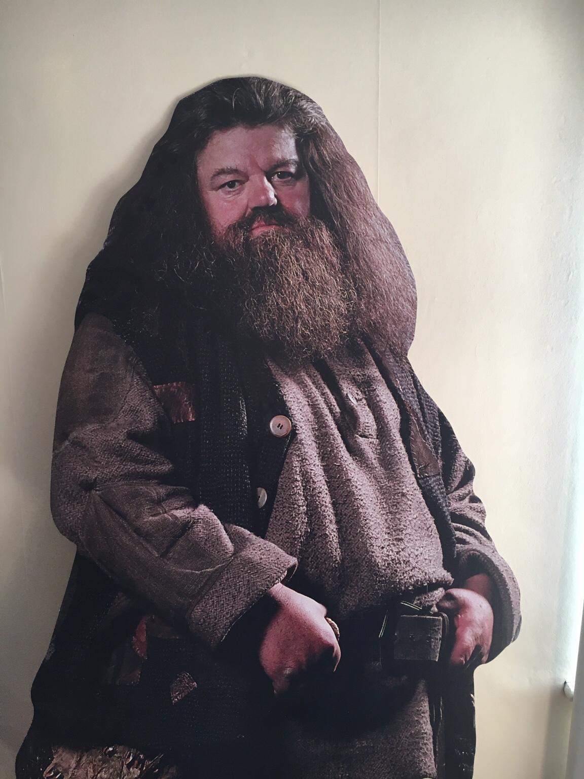 Life size Hagrid cardboard cut out in NN15 Kettering für 12,00 £ zum ...