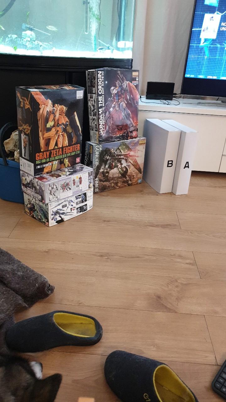 Gundam model kits 1/100 mg in NW1 Camden für £ 190,00 zum Verkauf ...