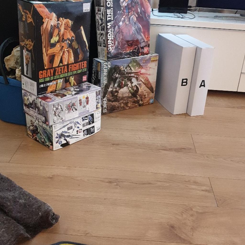 Gundam model kits 1/100 mg in NW1 Camden für £ 190,00 zum Verkauf ...
