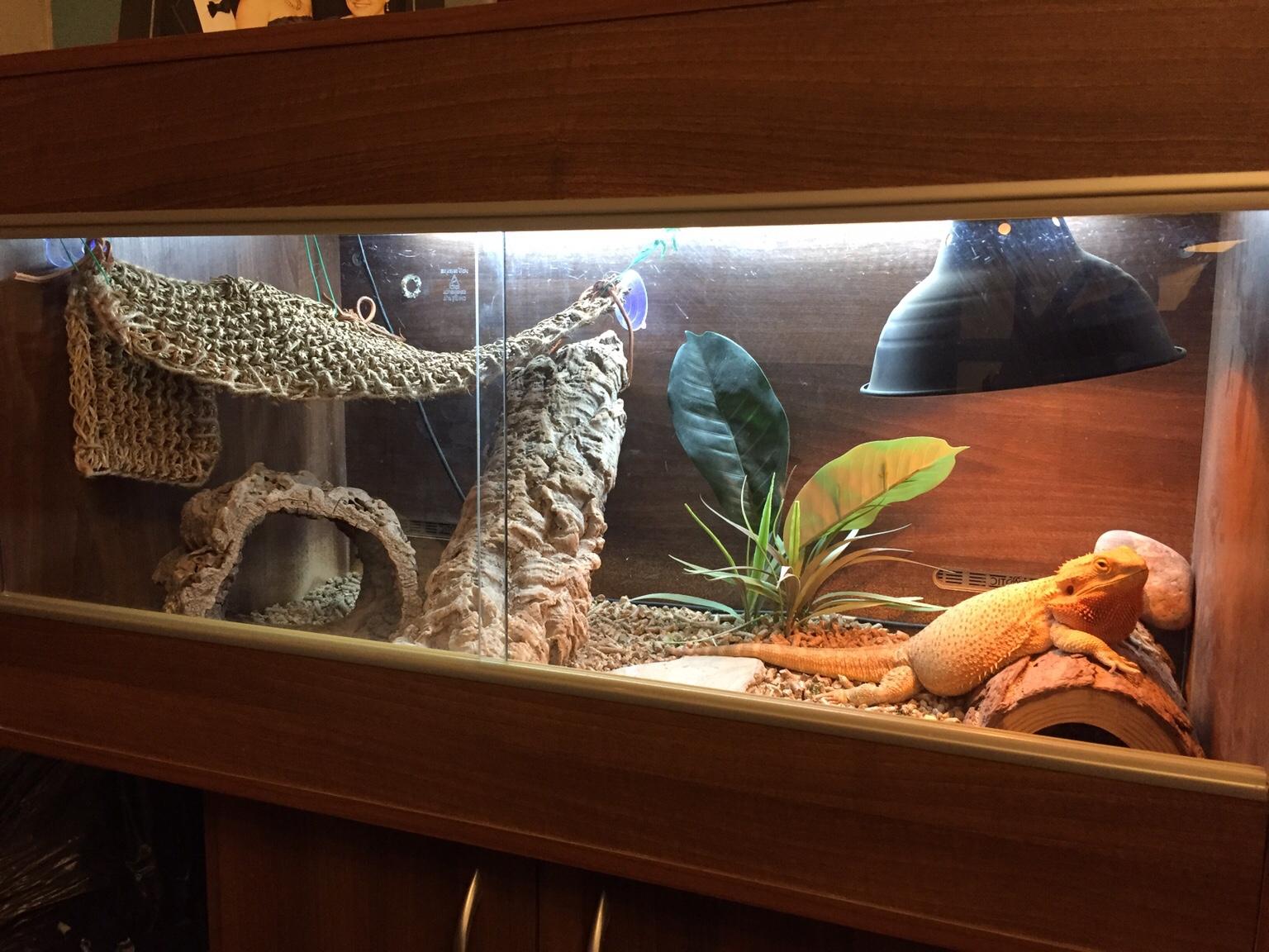 3ft Vivarium (viv) and stand in PO2 Portsmouth für £ 80,00 zum Verkauf ...