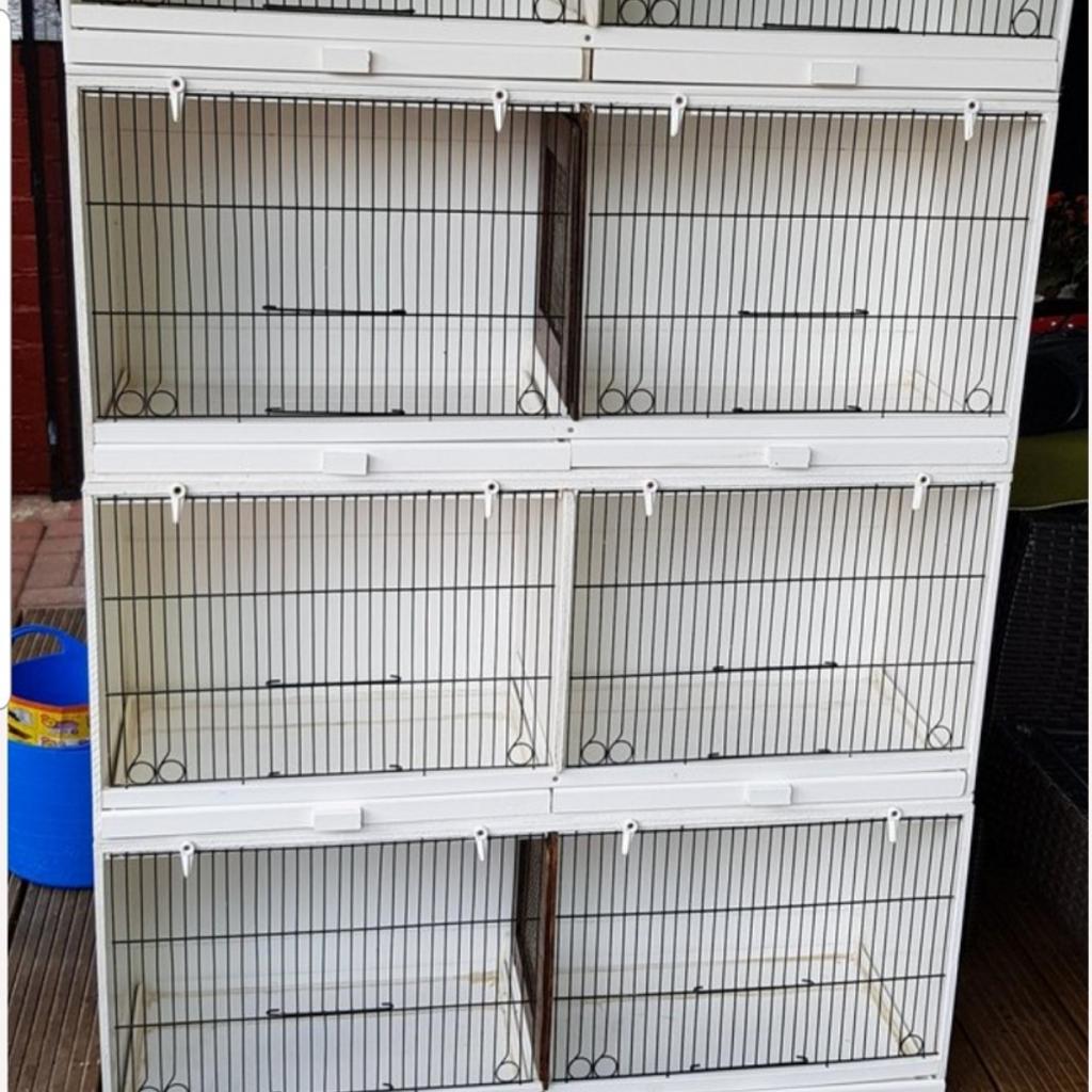 4 double upvc breeding cages in BD2 Bradford für 20,00 £ zum Verkauf ...