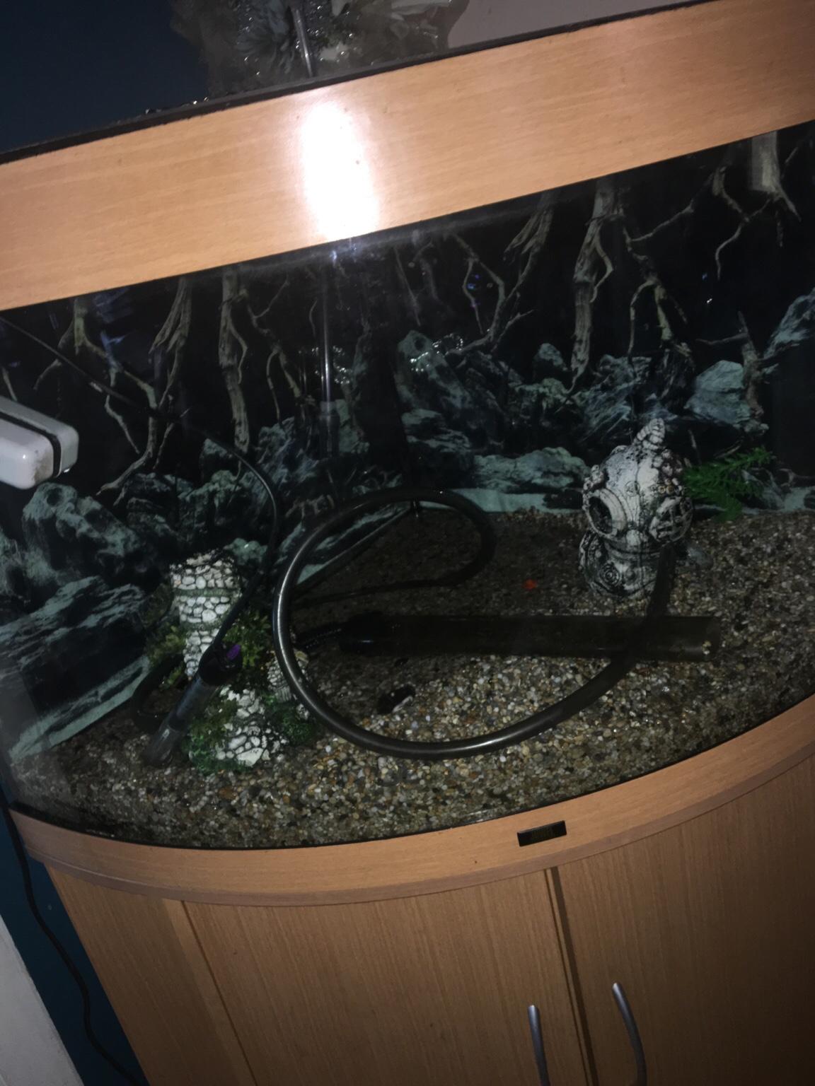 Juwel corner fish tank. in BB1 Blackburn für 180,00 £ zum Verkauf ...