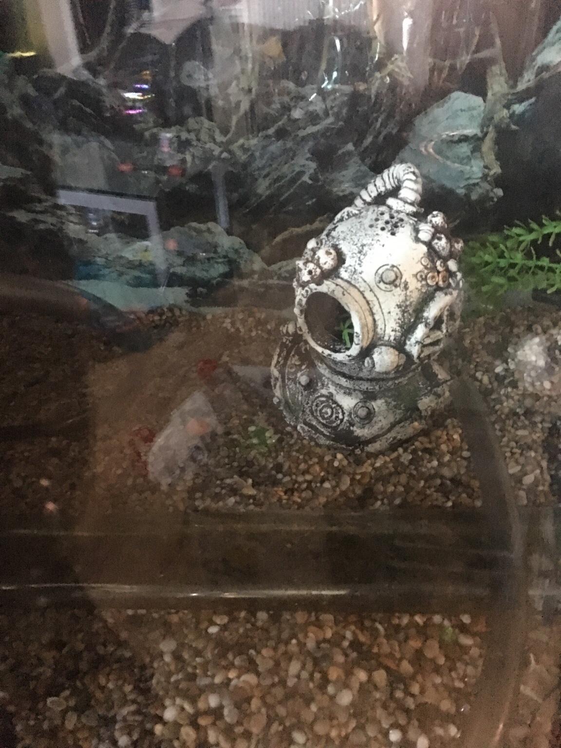 Juwel corner fish tank. in BB1 Blackburn für 180,00 £ zum Verkauf ...