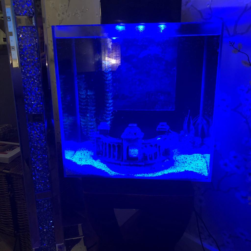37 litre platform fish tank in DA15 Bexley für 45,00 £ zum Verkauf ...