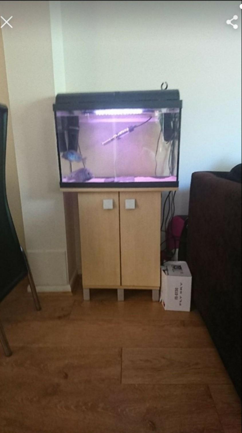 fish tank and stand in London Borough of Sutton für 60,00 £ zum Verkauf ...