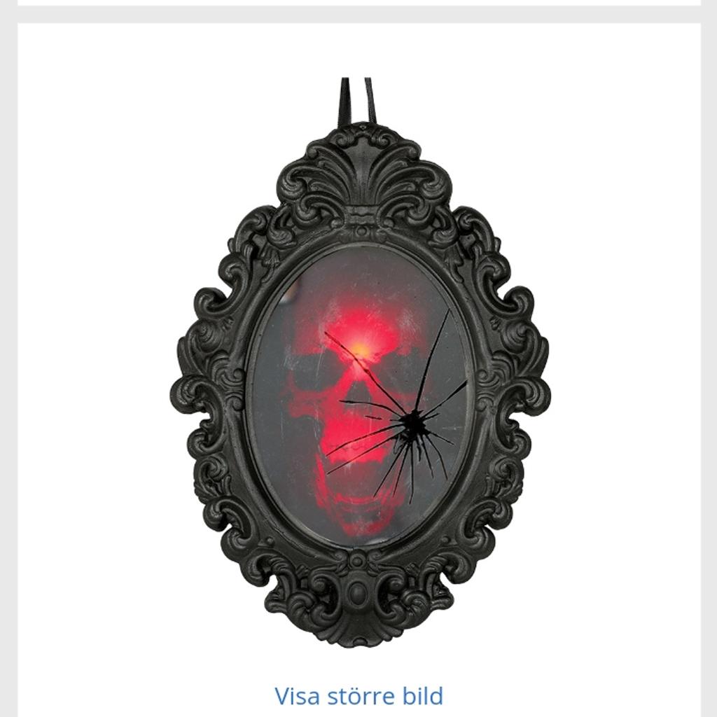📸Halloween coffin spegel mirror skelett buda in 51265 Mjöbäck für 175 ...
