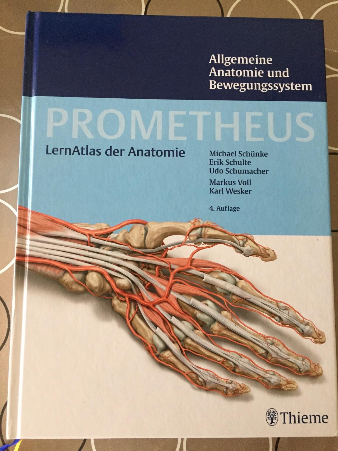 Prometheus Lern Atlas Box der Anatomie in 7000 Eisenstadt für 150,00 ...