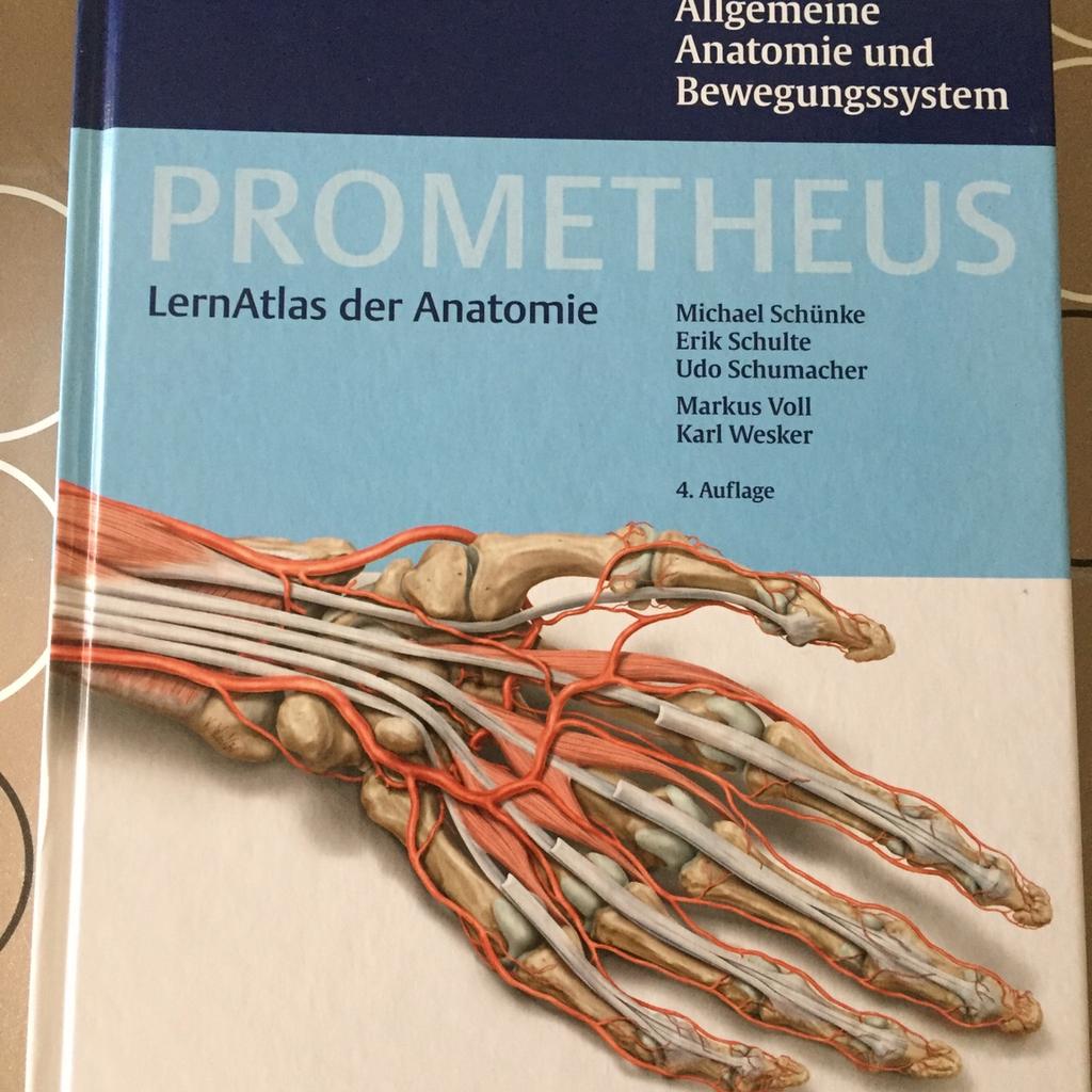 Prometheus Lern Atlas Box der Anatomie in 7000 Eisenstadt für 150,00 ...