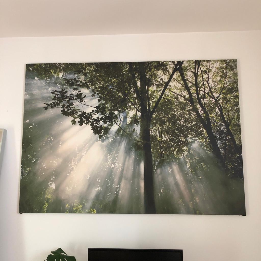 Ikea XXL Bild Wald in 60316 Frankfurt am Main für € 60,00 zum Verkauf | Shpock AT