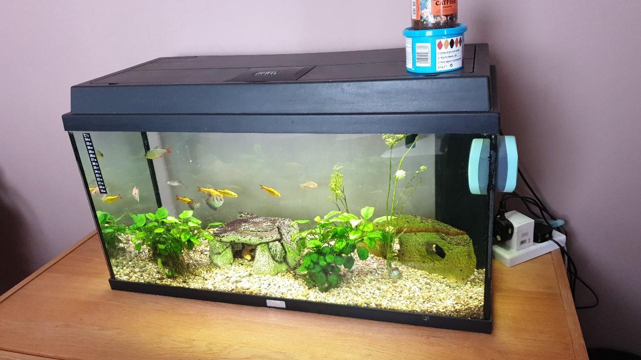 Aquarium 80 ltr juwel in B23 Birmingham for £80.00 for sale | Shpock