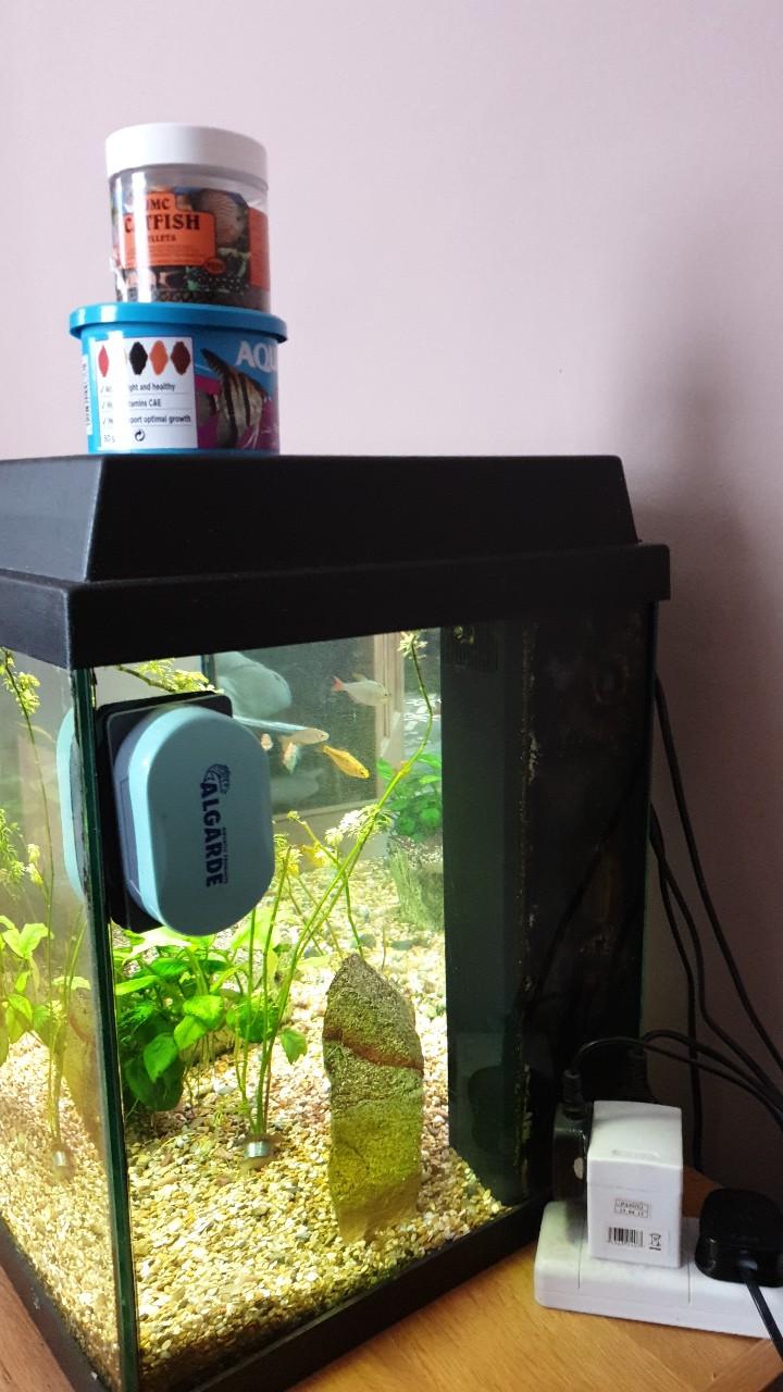 Aquarium 80 ltr juwel in B23 Birmingham for £80.00 for sale | Shpock
