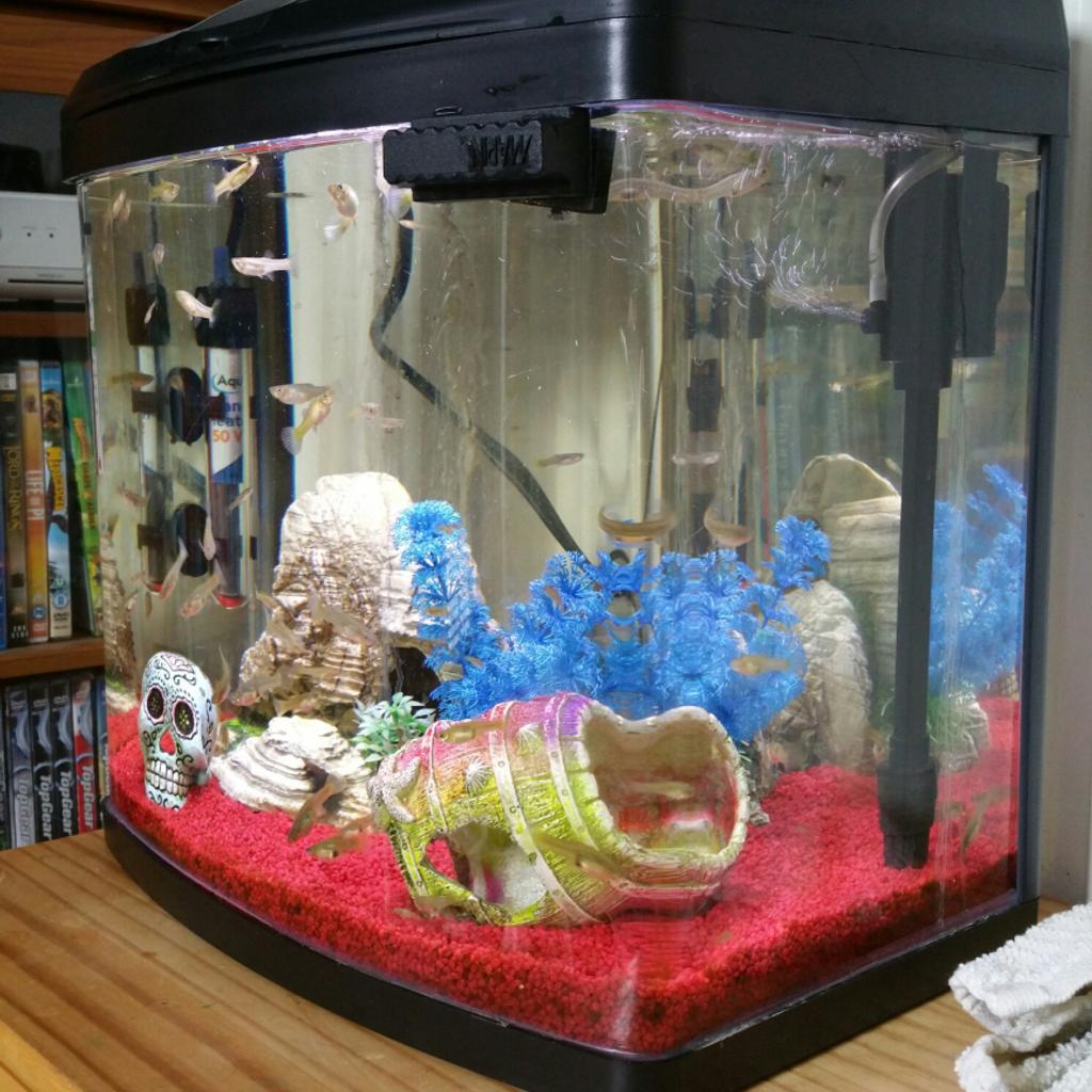Aqua One 28Lt fish tank with fish in TN22 Wealden for £30.00 for sale ...