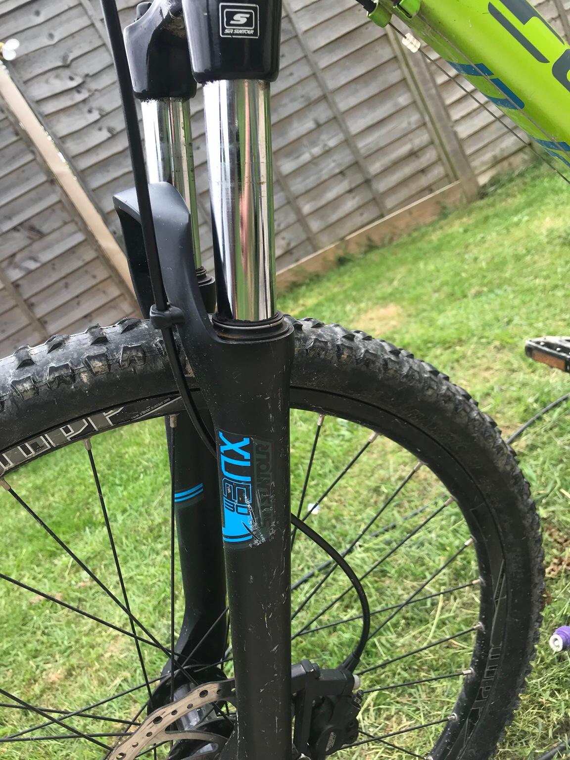 Carrera sulcata in BS4 Bristol für 150,00 £ zum Verkauf | Shpock DE