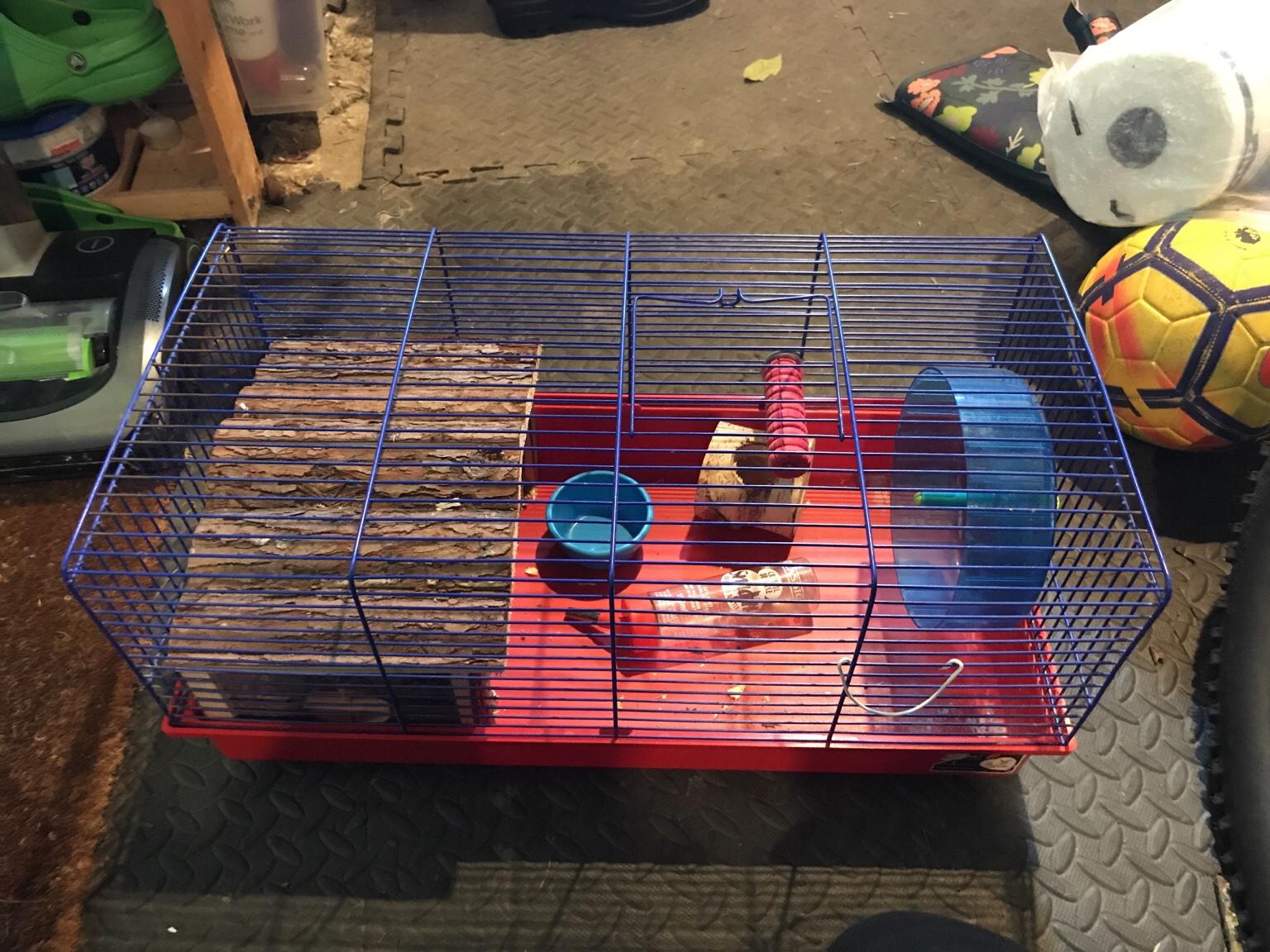 Large hamster cage in NE3 Tyne für 20,00 £ zum Verkauf | Shpock DE