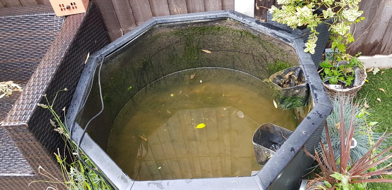 blagdon affinity octagon pond in CM20 Harlow für 100,00 £ zum Verkauf ...