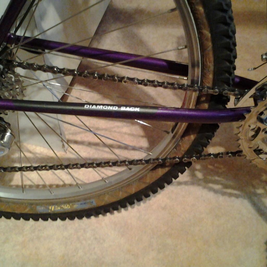 diamond back ascent mountain bike 1993 retro in S40 Chesterfield für £ ...