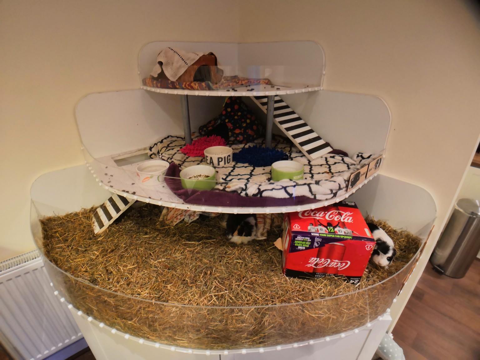 UNIQUE! 3 floored, corner Guinea Pig cage. in Doncaster für 100,00 ...