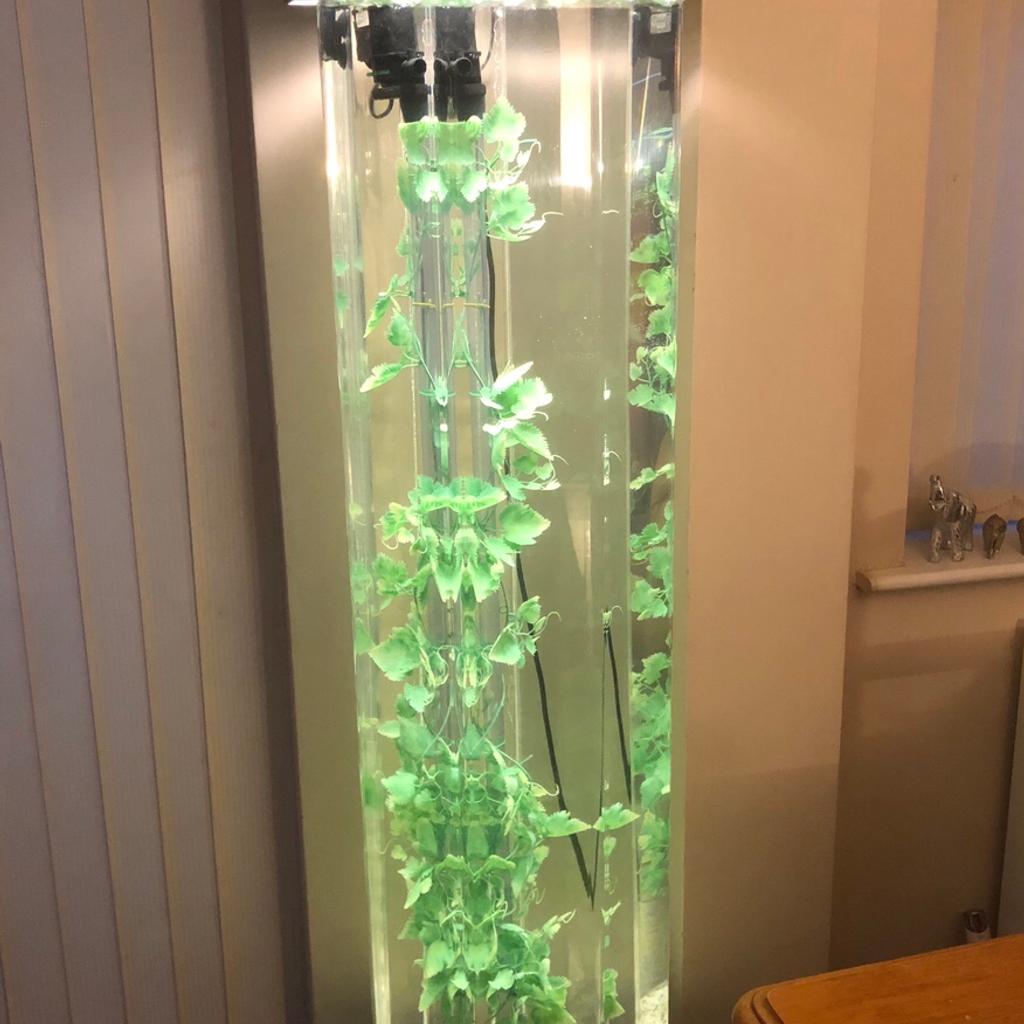 6 ft tall designer column fish tank hexagonal in CV11 Bedworth für £ ...