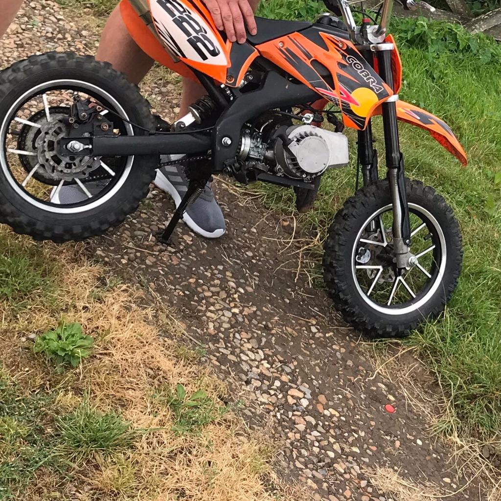 Cobra 50cc kids dirt bike in Mole Valley für 195,00 £ zum Verkauf ...
