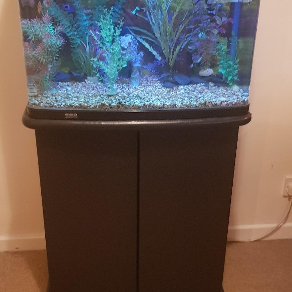 fish tank troplical 90l with stand in B14 Birmingham für £ 60,00 zum ...