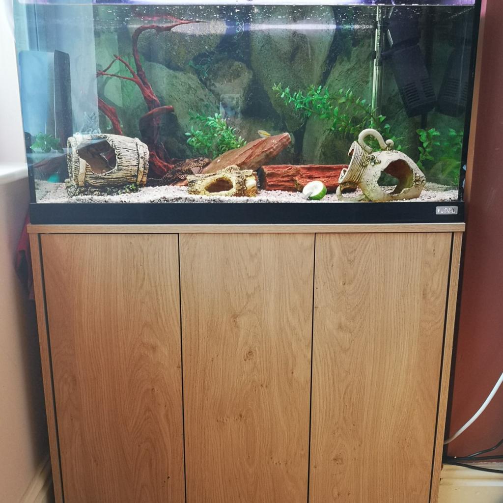 Fluval 140 Litre Fish Tank & Stand in WS12 Chase for £125.00 for sale ...