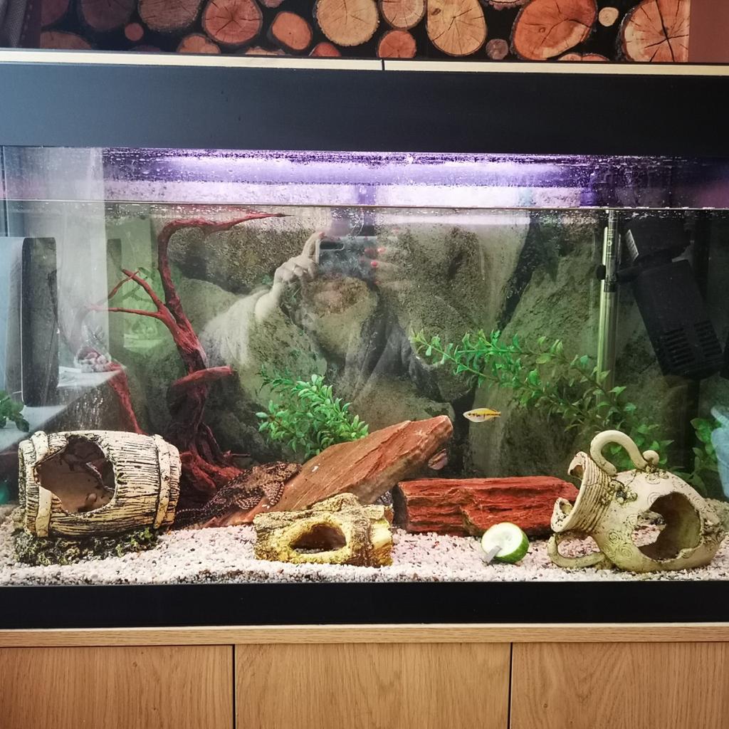 Fluval 140 Litre Fish Tank & Stand in WS12 Chase for £125.00 for sale ...