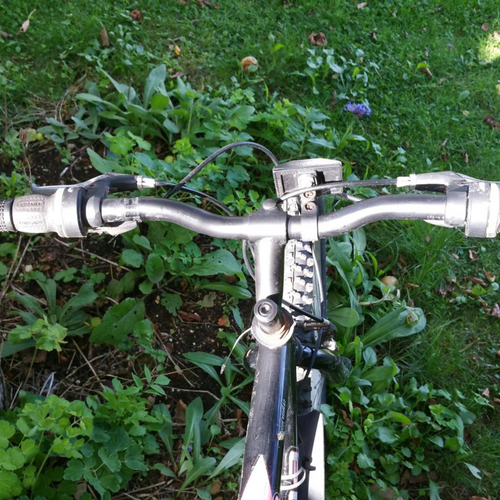 Optima Storm Mountain Bike in West Lindsey für £ 30,00 zum Verkauf ...
