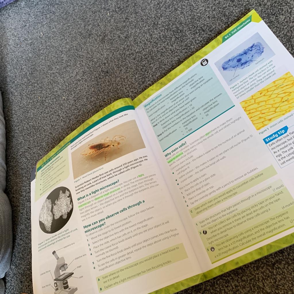 Ocr Gateway Gcse Science Textbooks In Ig9 Forest Für £ 20 00 Zum Verkauf Shpock At