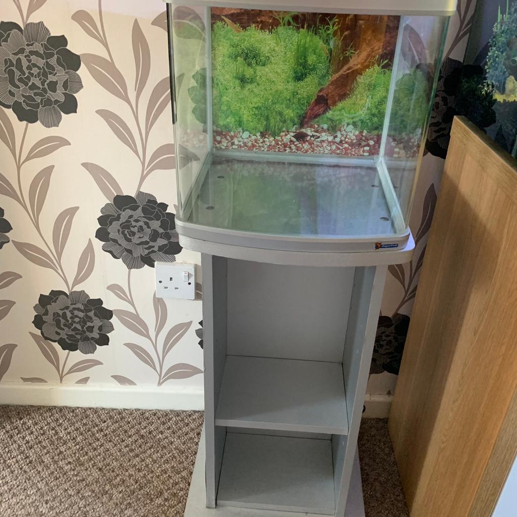 Fish tank and stand in S44 Bolsover für 20,00 £ zum Verkauf | Shpock DE