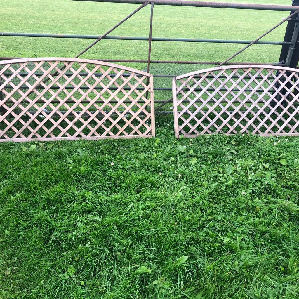 Cross hatch fence panels in WN8 Lancashire for £45.00 for sale | Shpock