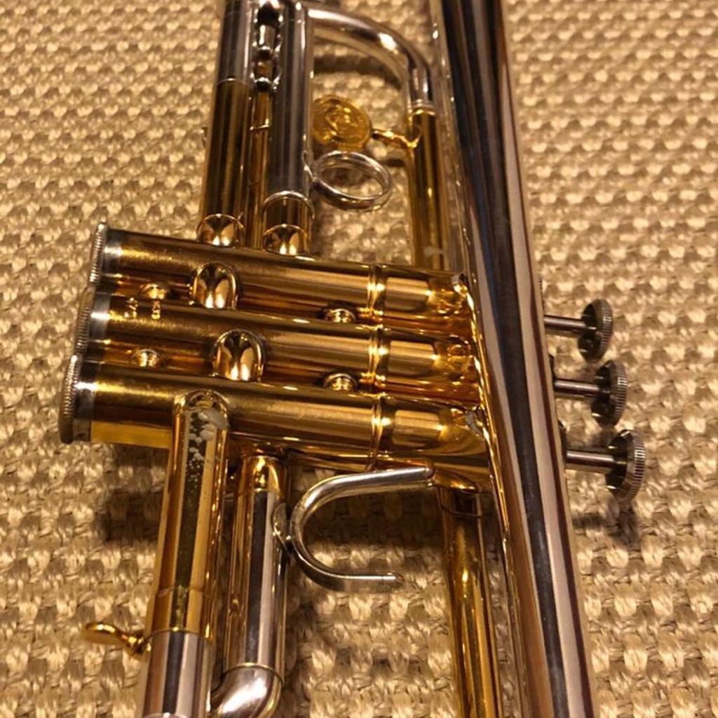 Lechner Jazz Trompete in 6833 Klaus für € 1.450,00 zum Verkauf | Shpock AT