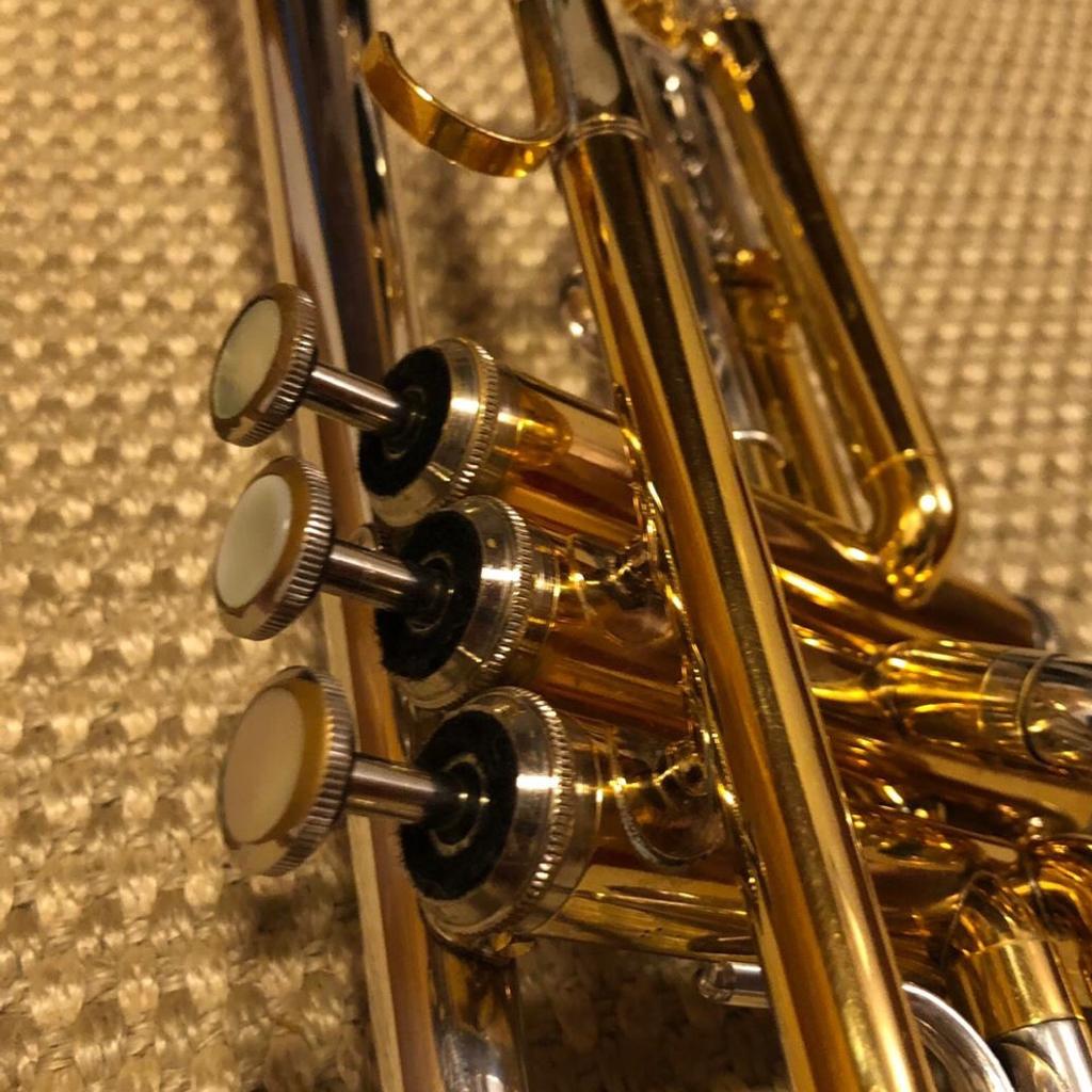 Lechner Jazz Trompete in 6833 Klaus für € 1.450,00 zum Verkauf | Shpock AT