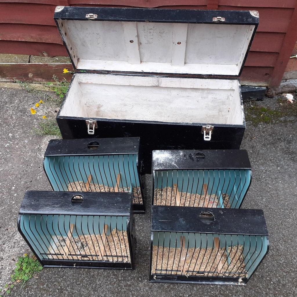 NEW COLOUR CANARY SHOW CAGES & BOX in DY9 Dudley für 55,00 £ zum ...