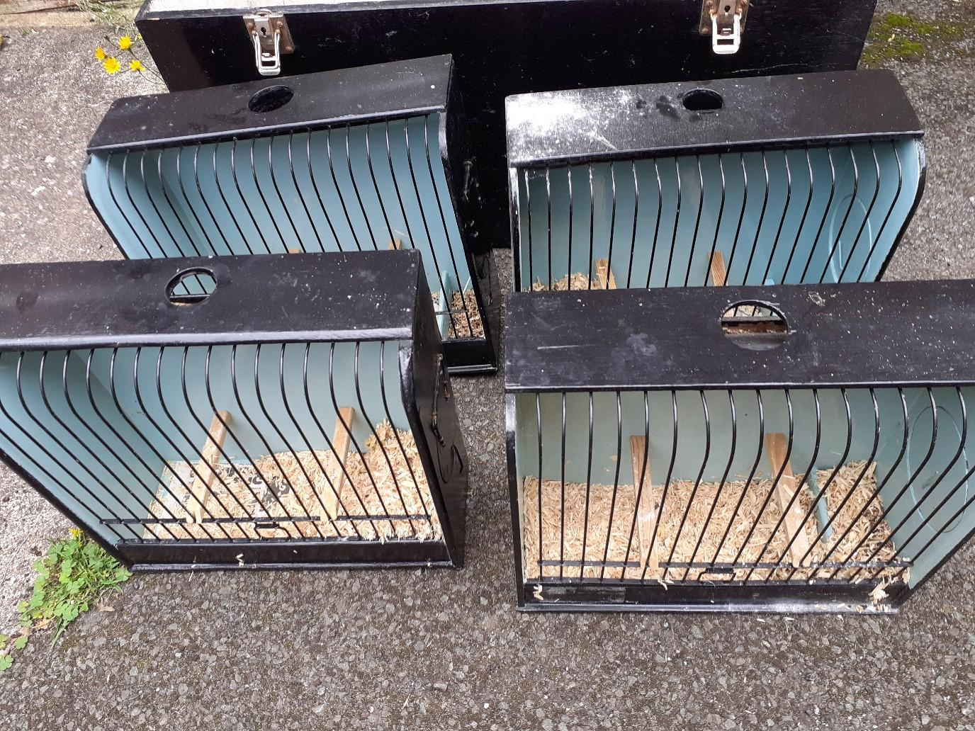 NEW COLOUR CANARY SHOW CAGES & BOX in DY9 Dudley für 55,00 £ zum ...